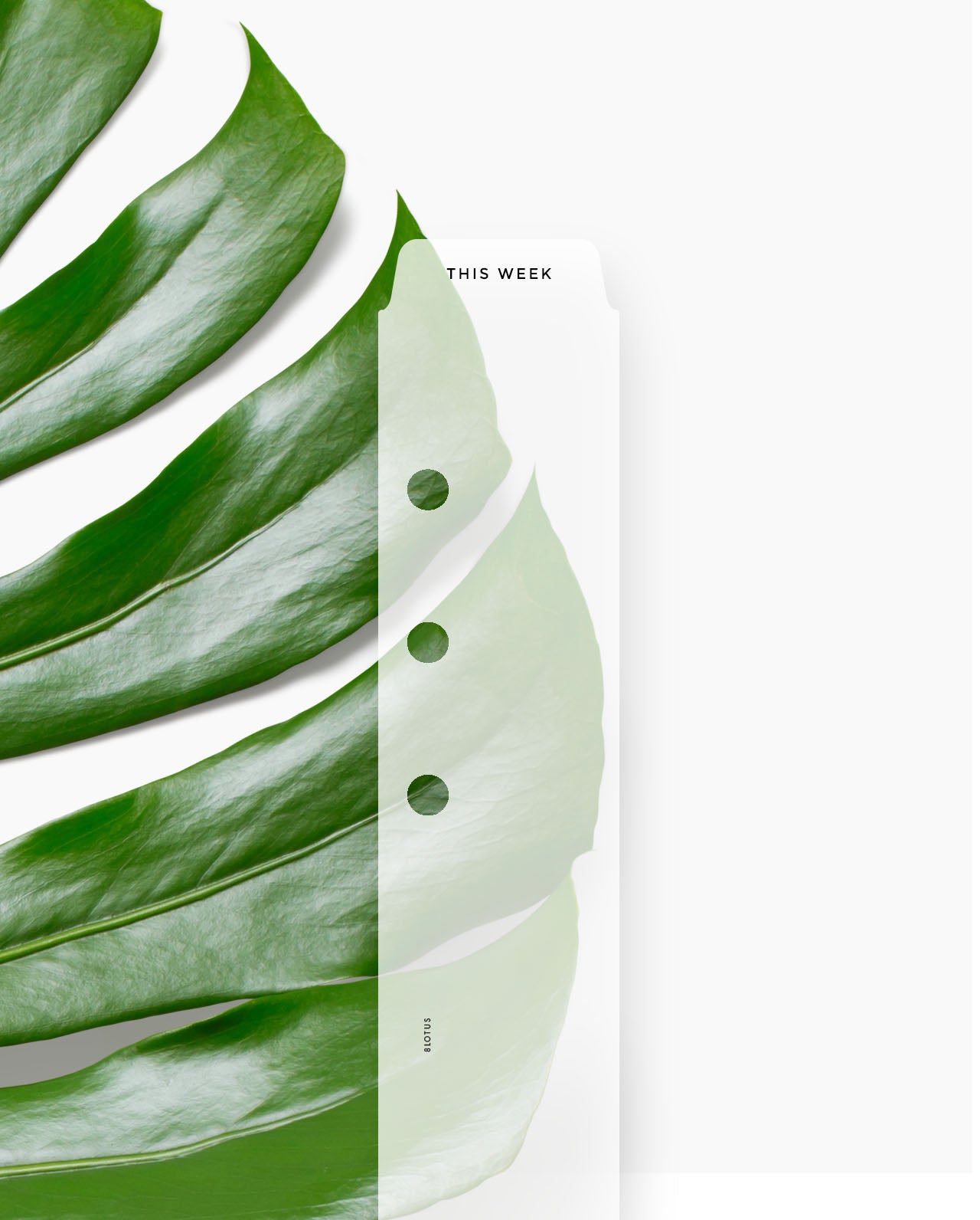 DV020 - This Week - Page Marker