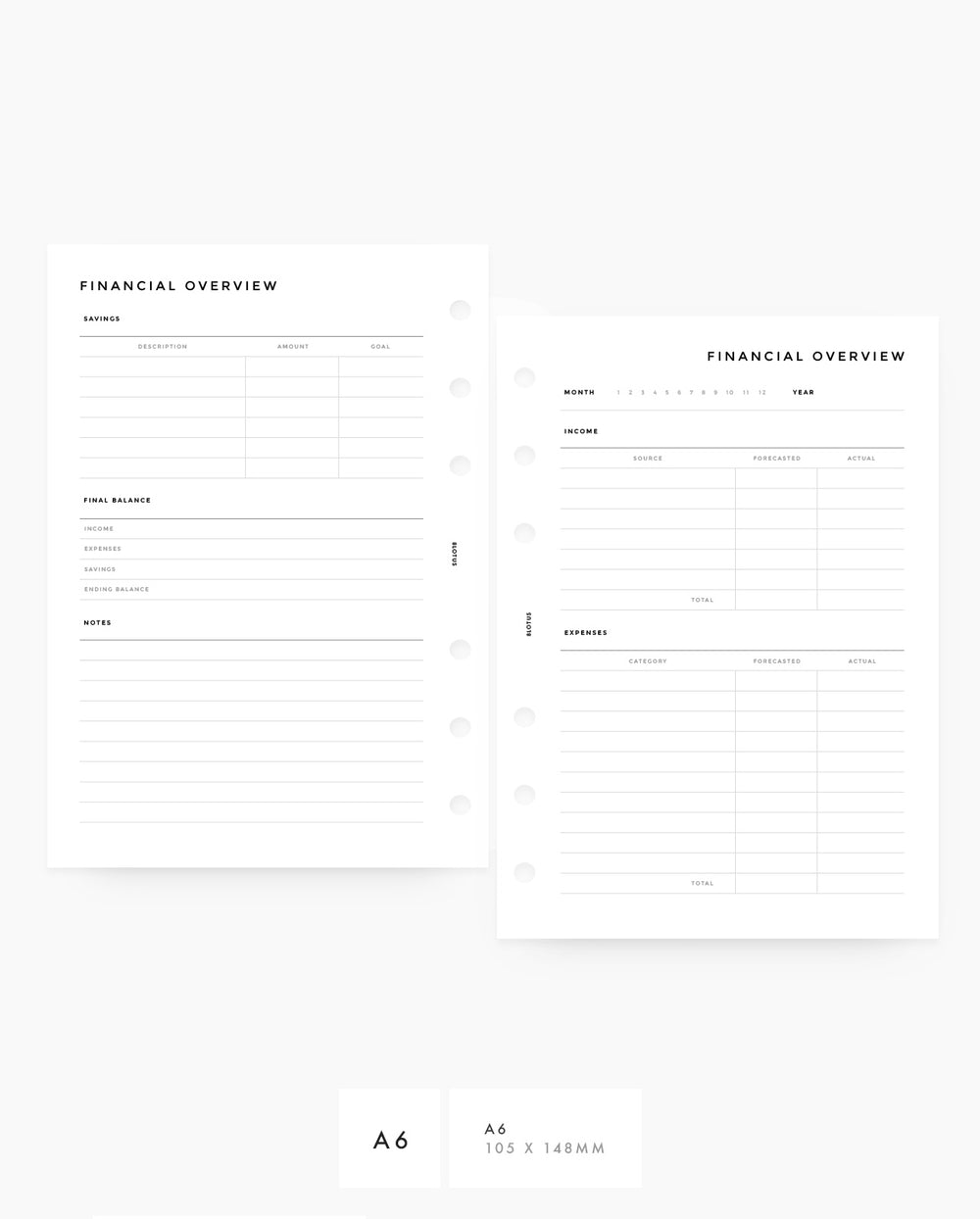 Fillable - Financial Overview PRINTABLE Inserts
