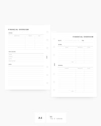 Fillable - Financial Overview PRINTABLE Inserts