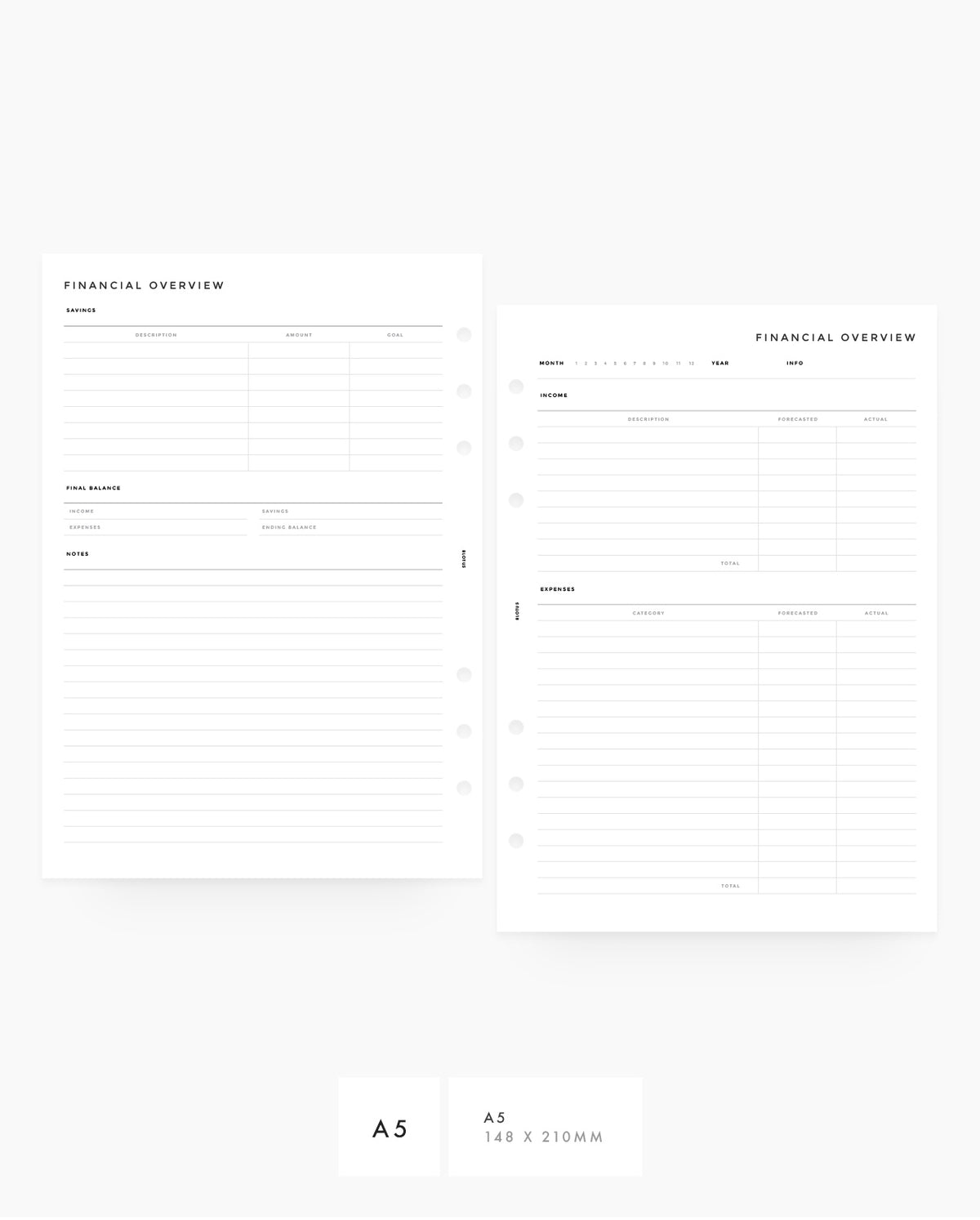 Fillable - Financial Overview PRINTABLE Inserts