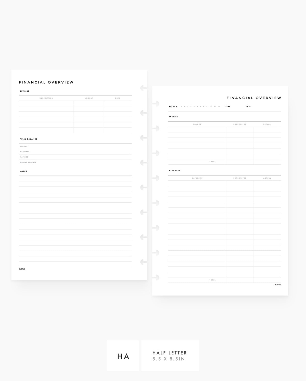 Fillable - Financial Overview PRINTABLE Inserts