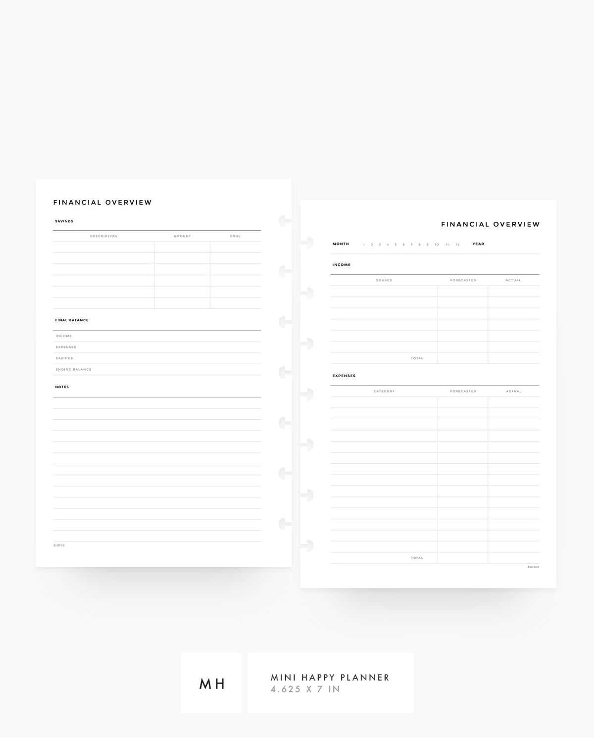Fillable - Financial Overview PRINTABLE Inserts