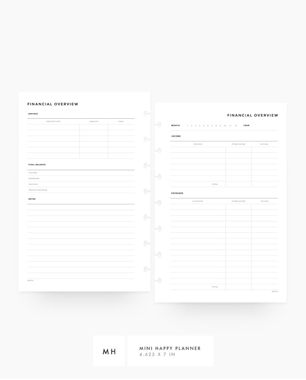 Fillable - Financial Overview PRINTABLE Inserts