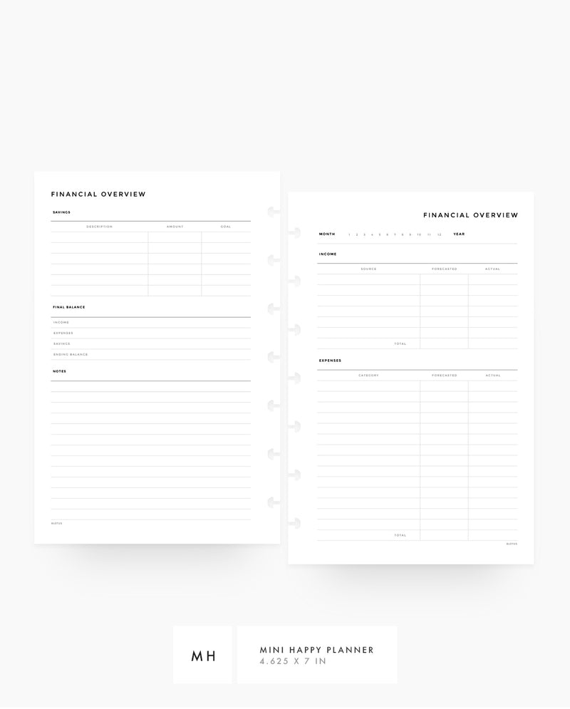 Fillable - Financial Overview PRINTABLE Inserts