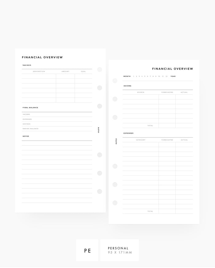 Fillable - Financial Overview PRINTABLE Inserts