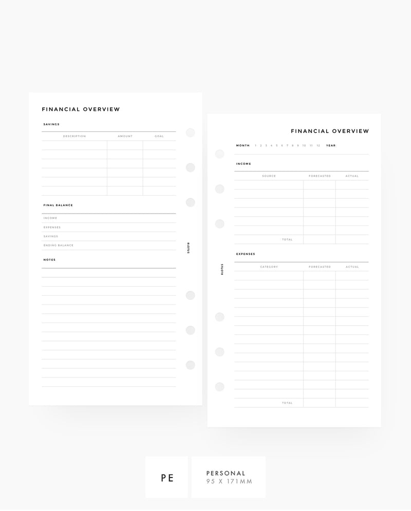 Fillable - Financial Overview PRINTABLE Inserts