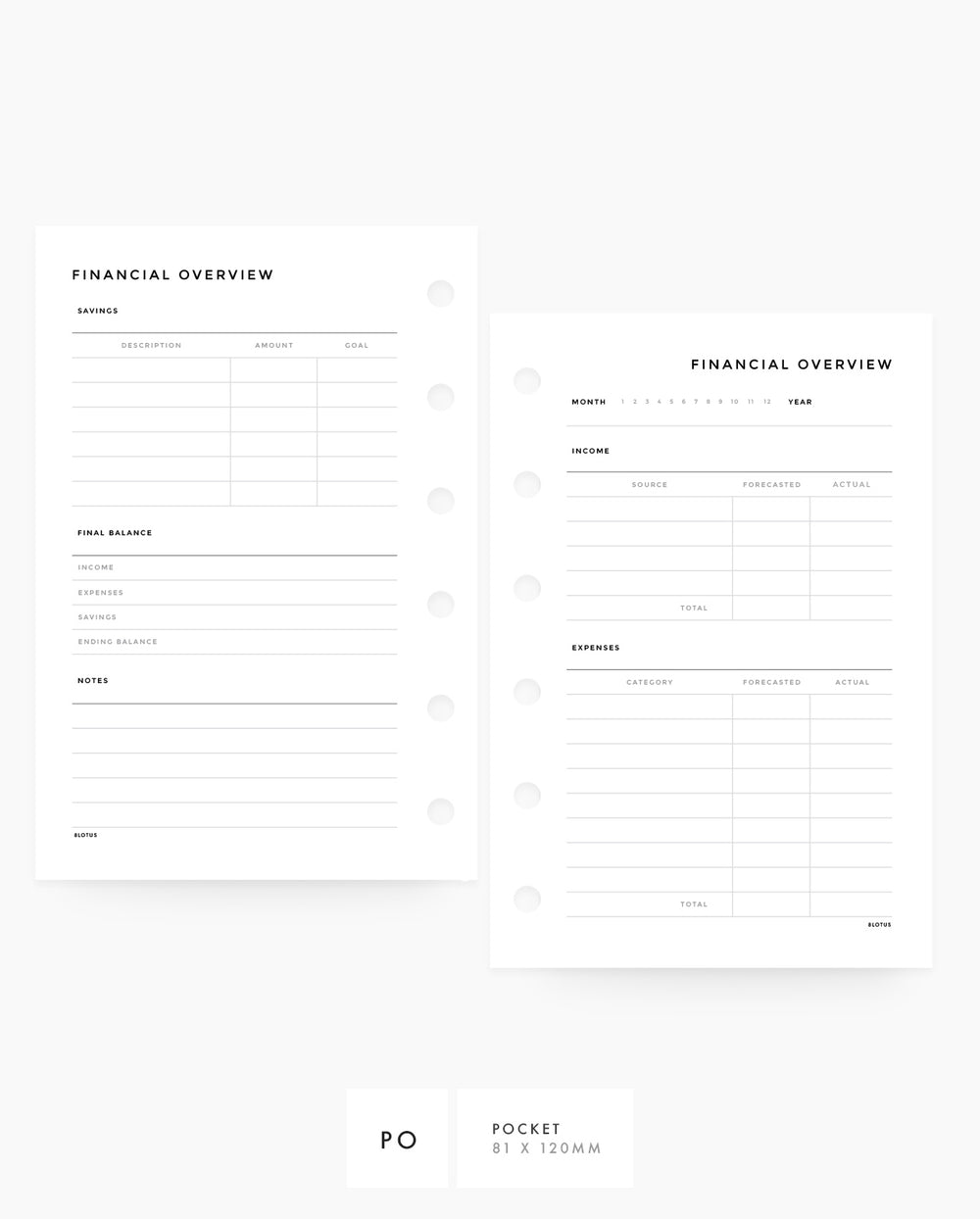 Fillable - Financial Overview PRINTABLE Inserts