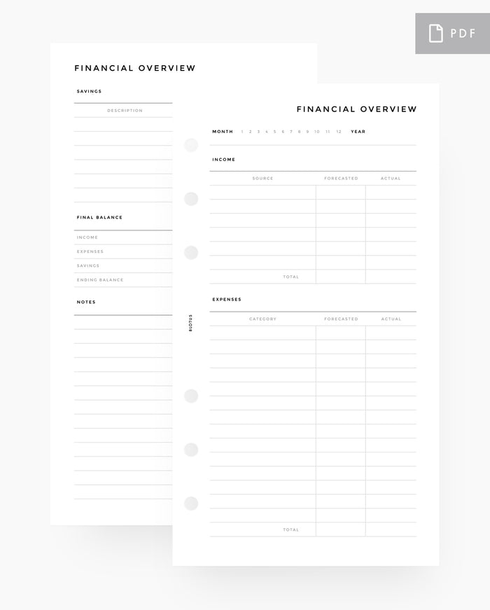 Fillable - Financial Overview PRINTABLE Inserts