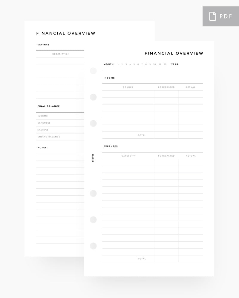 Fillable - Financial Overview PRINTABLE Inserts